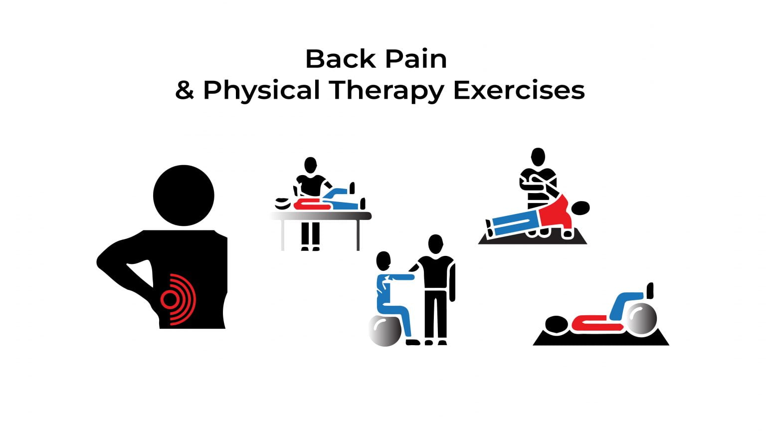 Back Pain & Physical Therapy Exercises ~ Statcardiologist