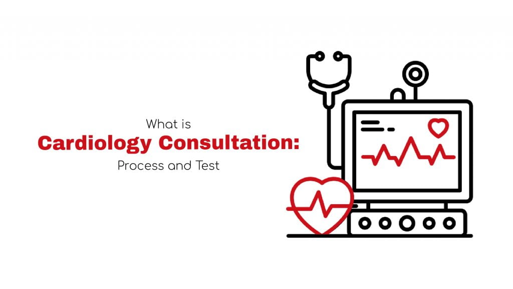 Coronary Circulation ~ Statcardiologist