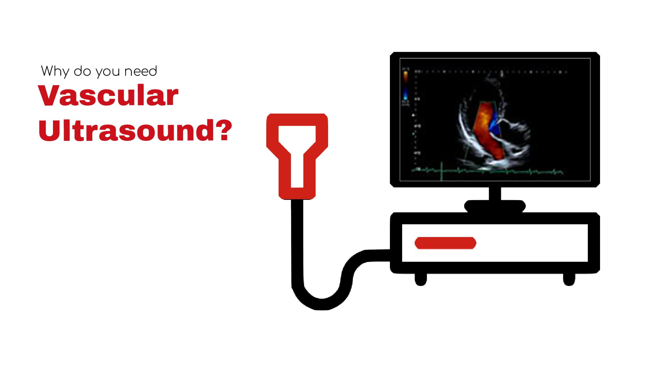Vascular ultrasound (VU) Studies ~ Stat! Cardiologist