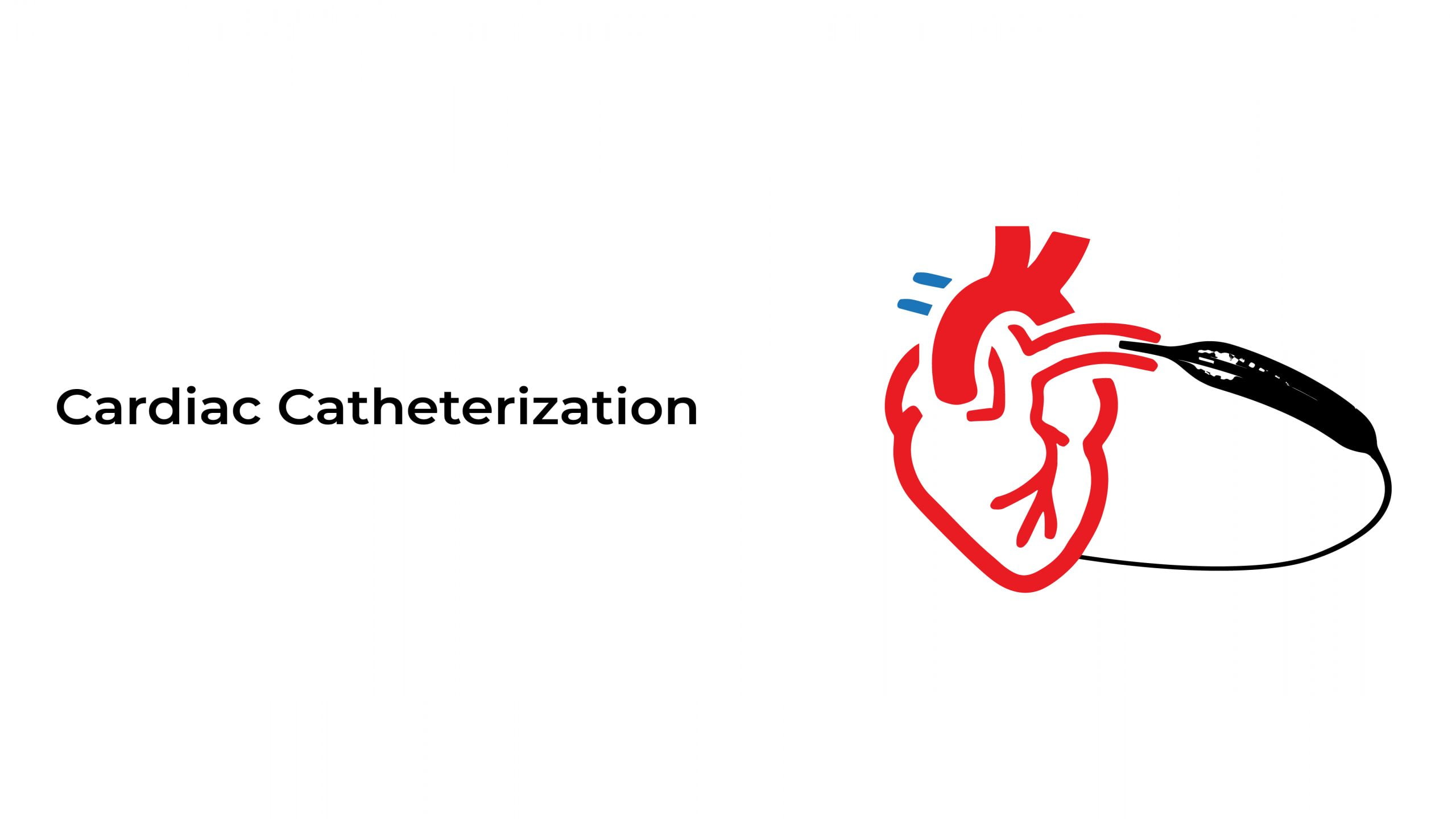Cardiac Catheterization (Cath) ~ Stat! Cardiologist